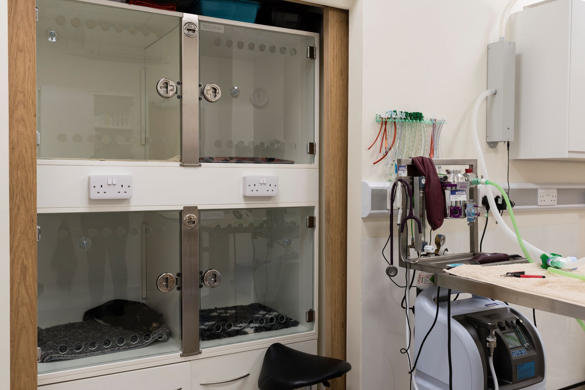 EMS Placement | Extra-mural Studies | Rutland Vets