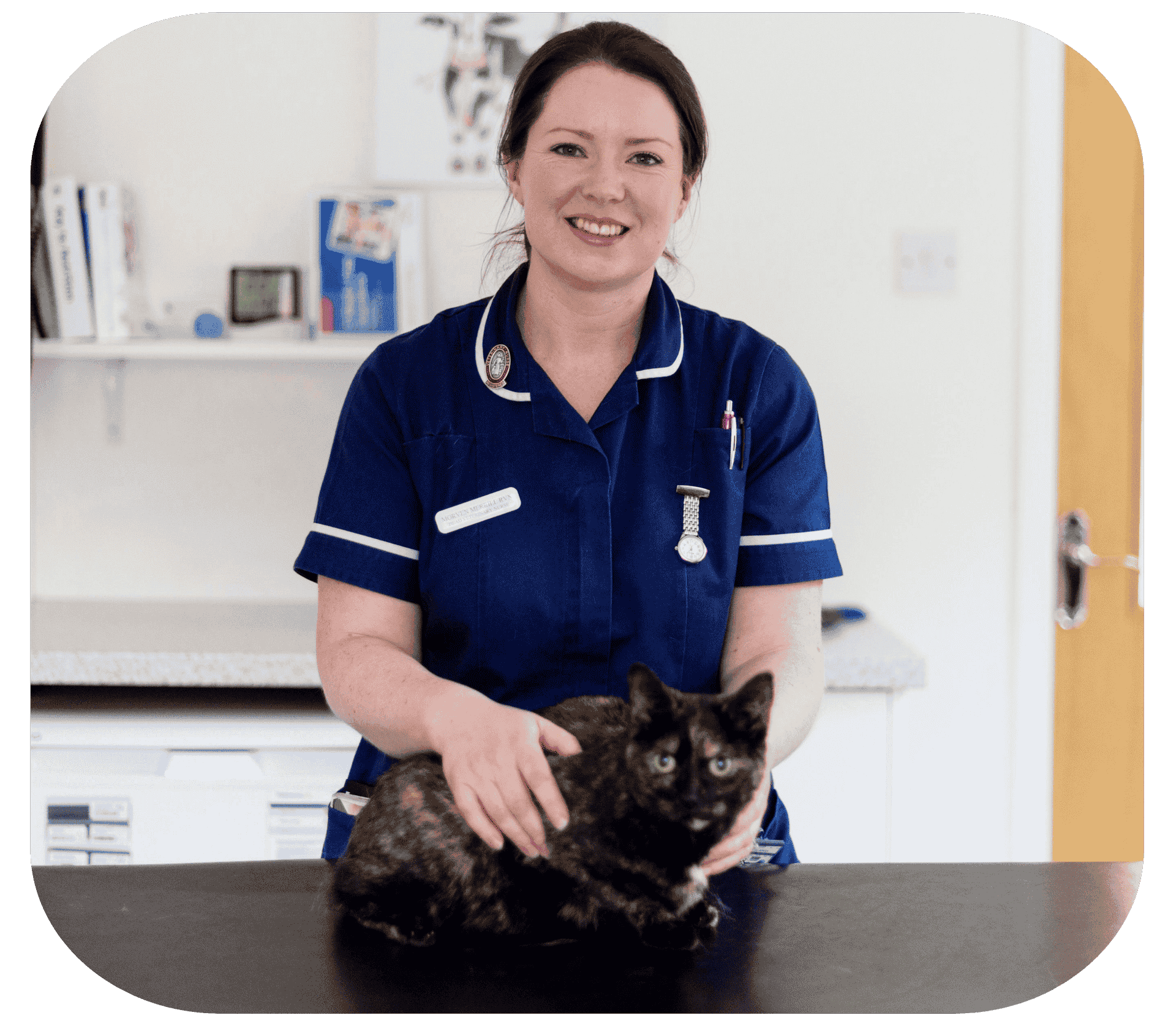 Vets in Rutland, Leicestershire and Northamptonshire | Rutland ...
